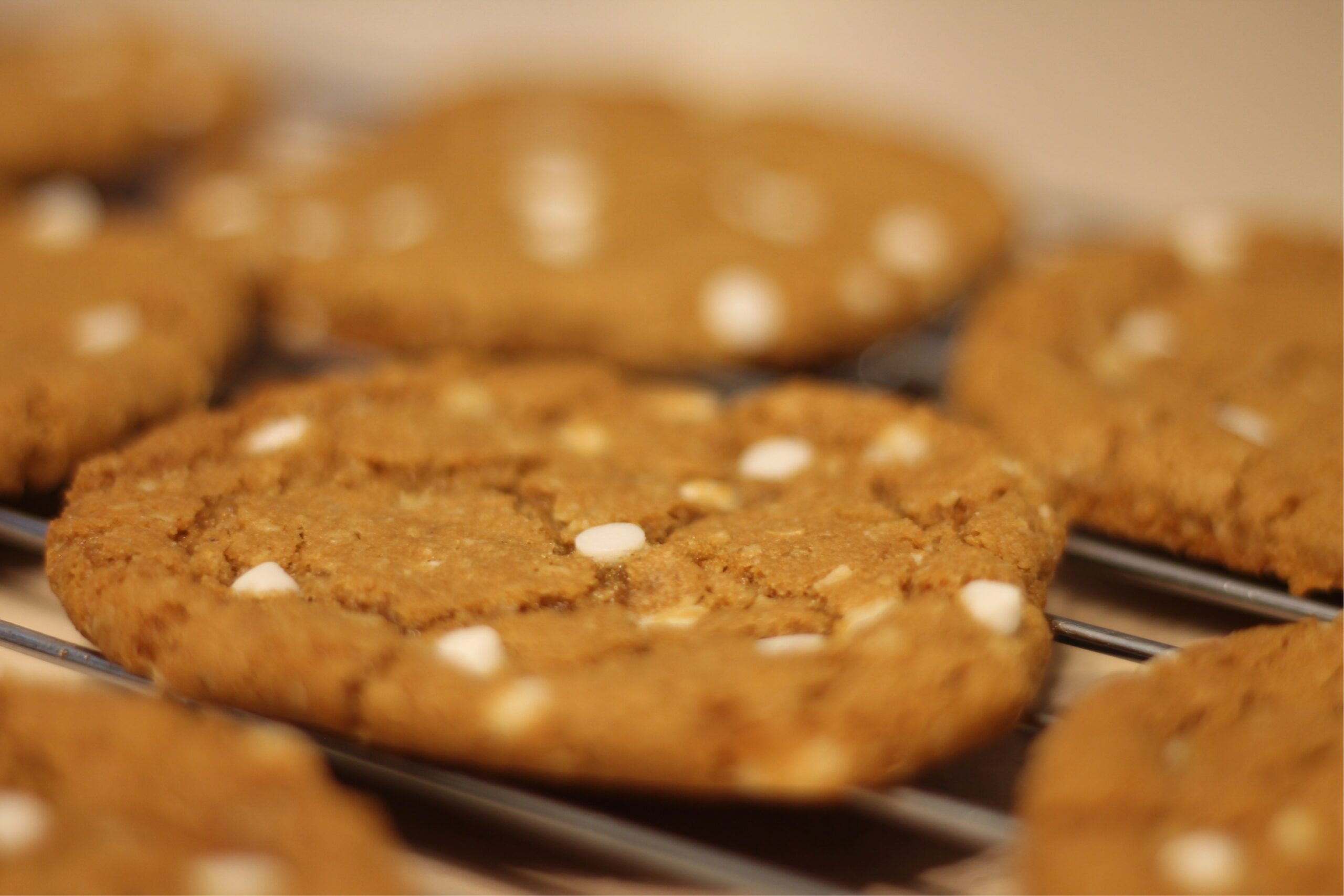 Vegan White Chocolate WWII Oatmeal Molasses Cookies (Gluten, Soy, & Nut ...